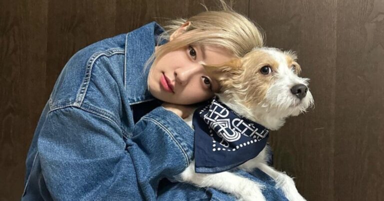 Rosé of BLACKPINK Faces Backlash Over Her Dog Hank - Shining Awards